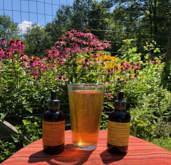 Golden Elixir | Fayston Forager, LLC